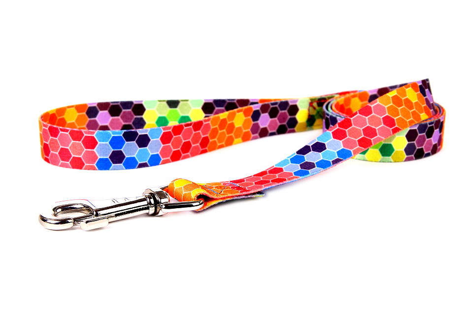 FERA Octagon Leine 25 mm/130 cm :: Hund :: Hundebänder und Hundeleinen :: Leinen :: FERA24.DE