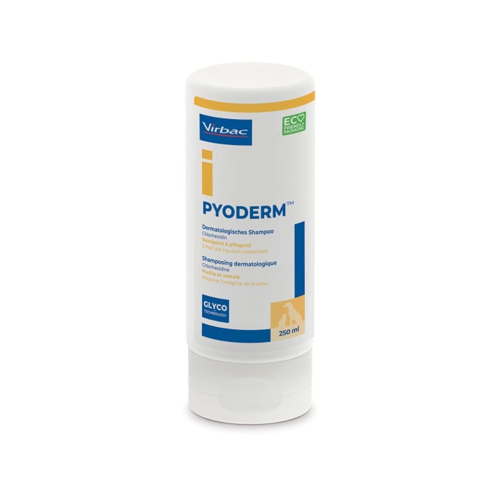 VIRBAC Pyoderm Chlorhexidin antibakterielles dermatologisches Shampoo ...