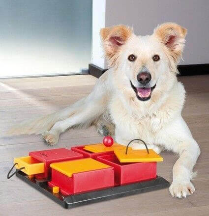 TRIXIE Poker Box 1 Strategiespiel 31 x 31 cm :: Hund :: Spielzeuge für ...